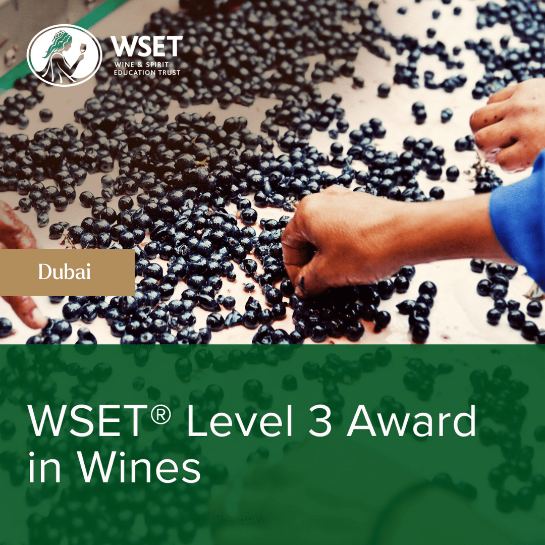 WSET Wine Certification Courses | The Tasting Class